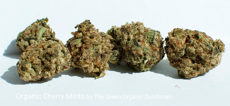 CANNABIS - FLOWER – Pot of Gold